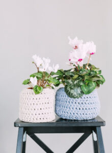 Accounting for SAFE Notes - Balanced Solutions | Audit Preparation ...