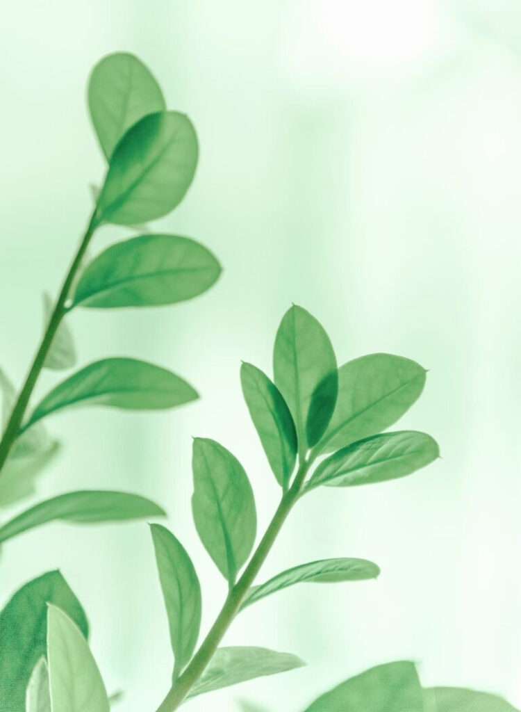 Accounting for SAFE Notes - Balanced Solutions | Audit Preparation ...